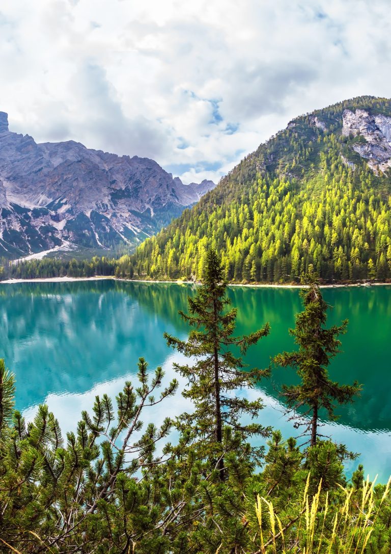 L'ES13 vous propose une sélection de voyages