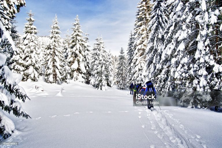 L'ES13 vous propose une sélection de voyages